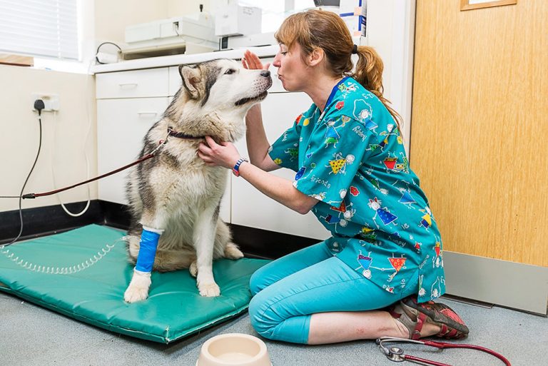 About | Vets Photography